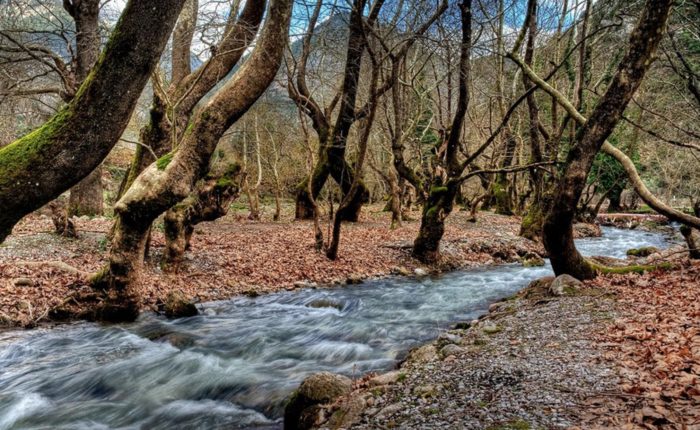 Μονοήμερη Εκδρομή Καλάβρυτα | Εκδρομές από Αθήνα